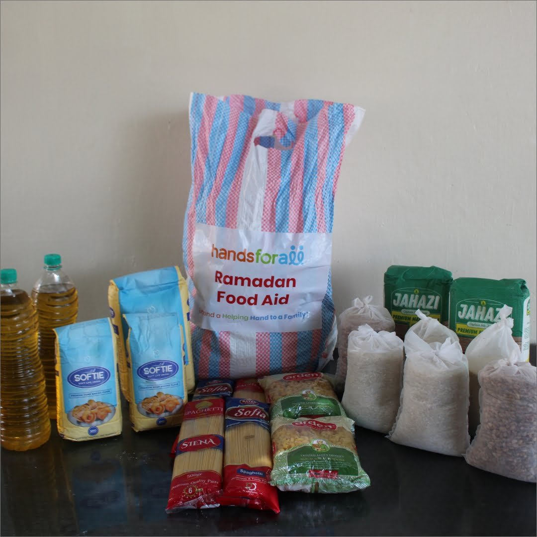 Food Aid - Hands For All
